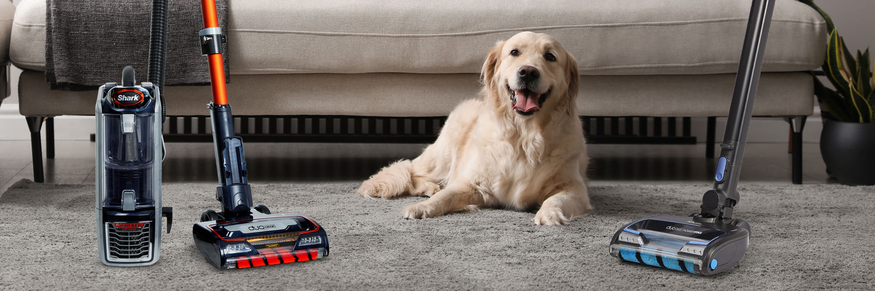 Find Your New Best Friend – Shark Clean Australia